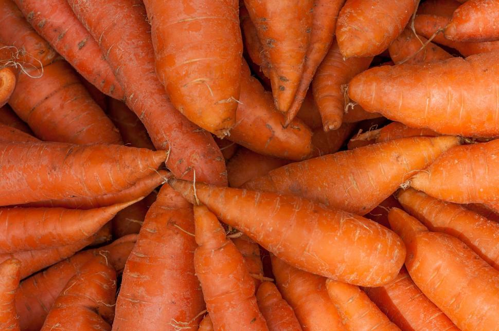 Free Stock Photo of carrot | Download Free Images and Free Illustrations