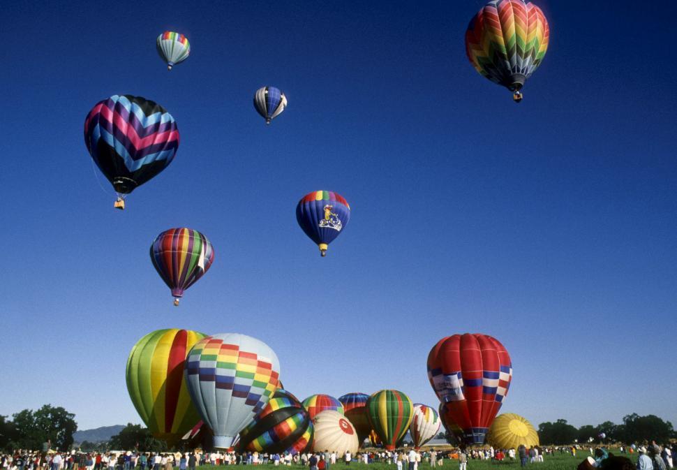 Free Stock Photo of hot air balloon rally | Download Free Images and ...