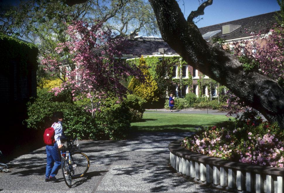 Free Stock Photo of student on campus | Download Free Images and Free ...