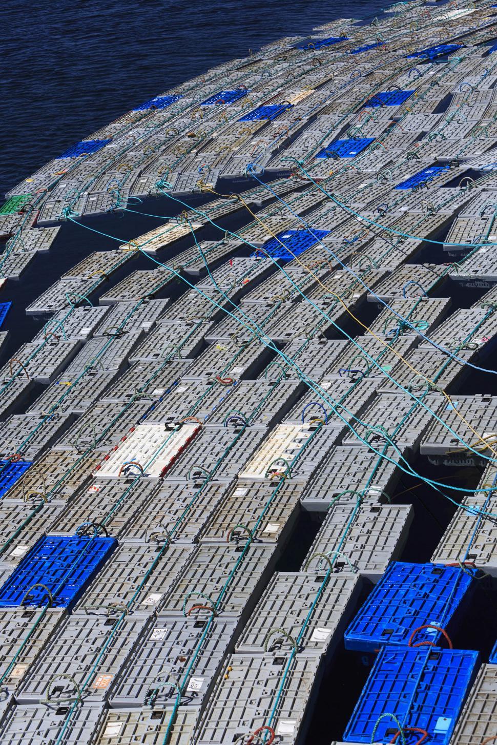 Free Stock Photo of lobster pens | Download Free Images and Free ...