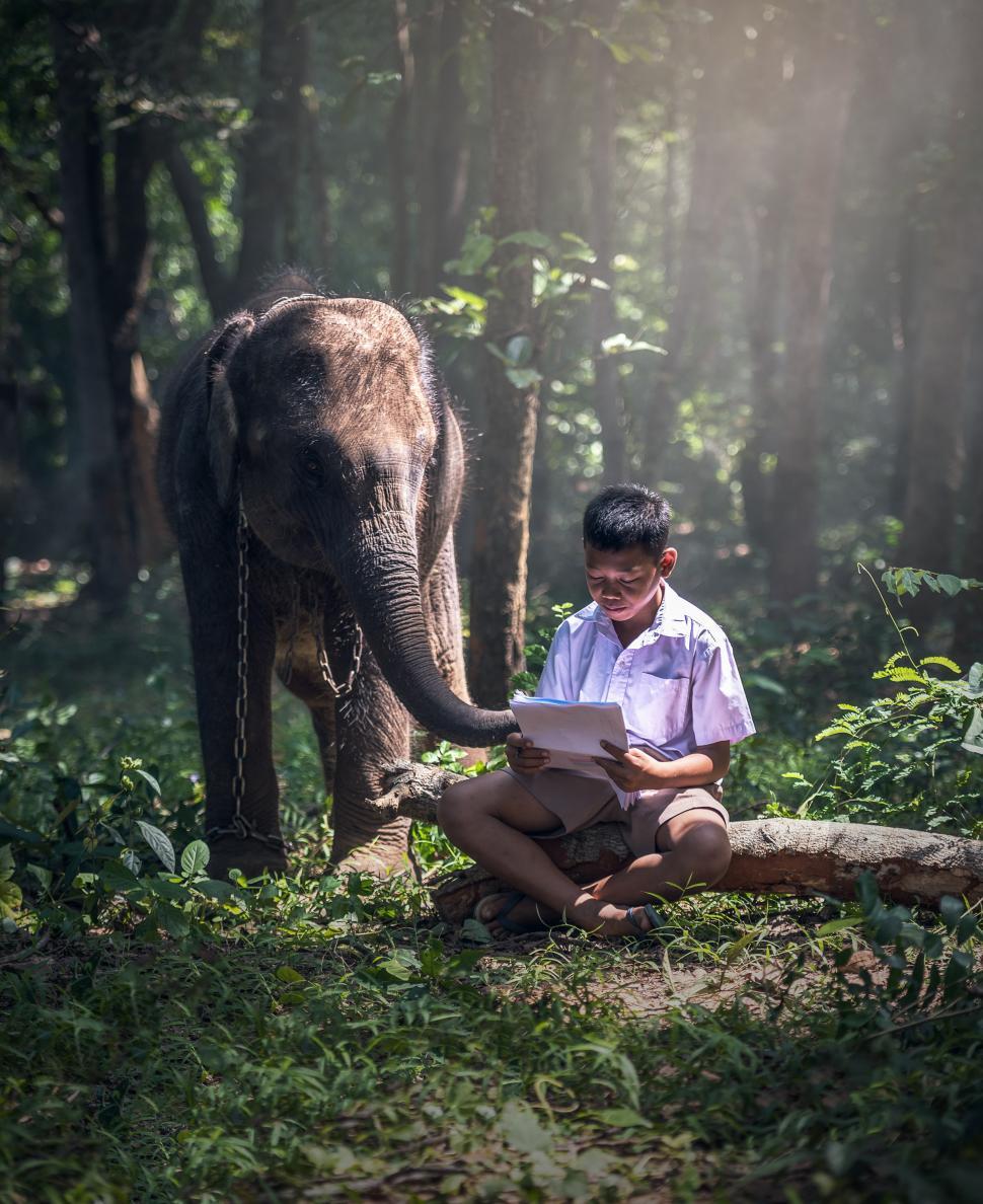 Free Stock Photo of Man Sitting Next to Elephant | Download Free Images ...