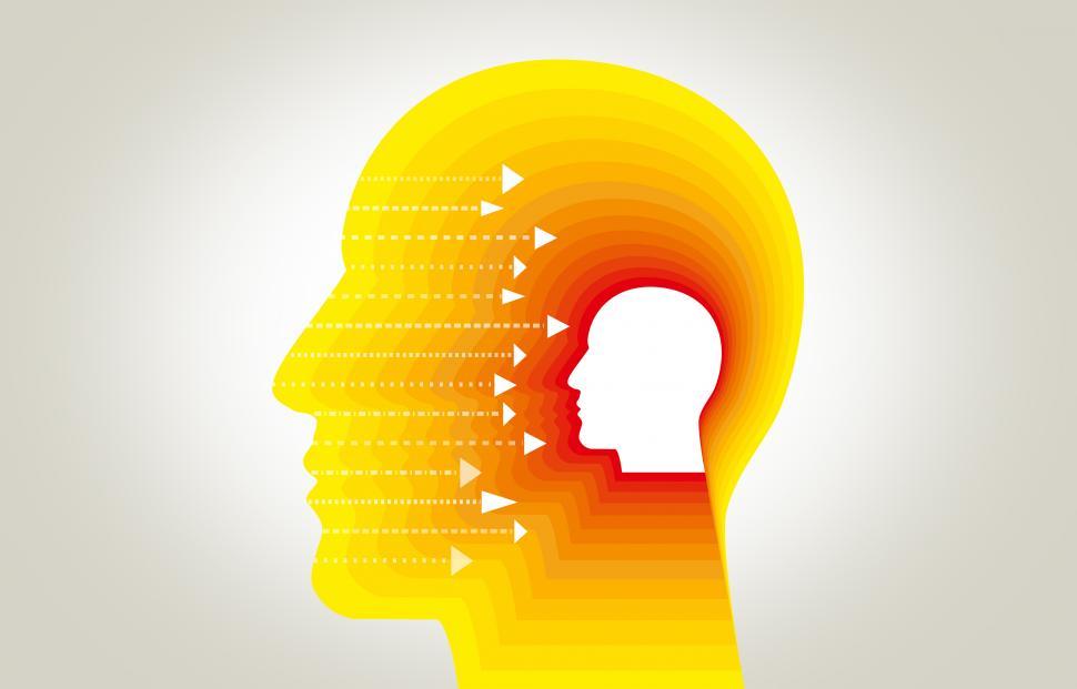 Free Stock Photo of Environmental Inputs to the Brain - Perception ...