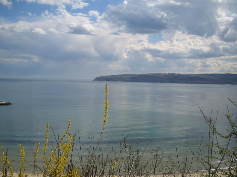 Free Stock Photo of Sea mirror | Download Free Images and Free ...