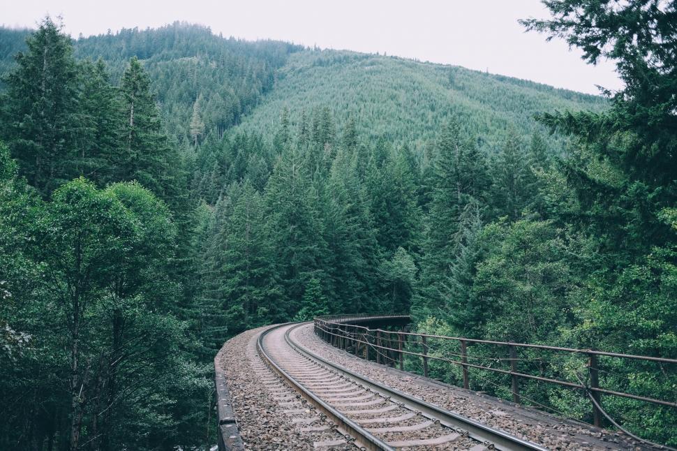 Free Stock Photo of Train Track Through Forest | Download Free Images ...