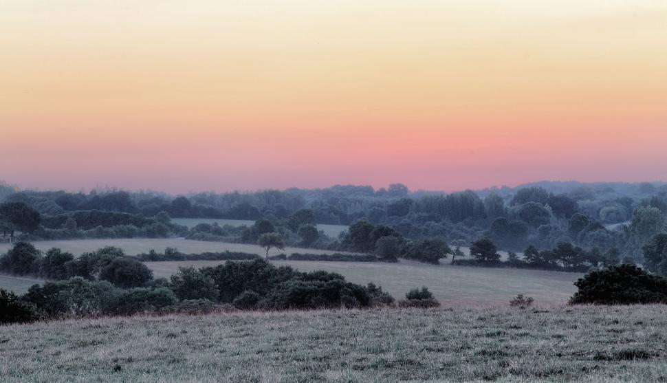 Free Stock Photo of Trees in the Distance Across a Field | Download ...