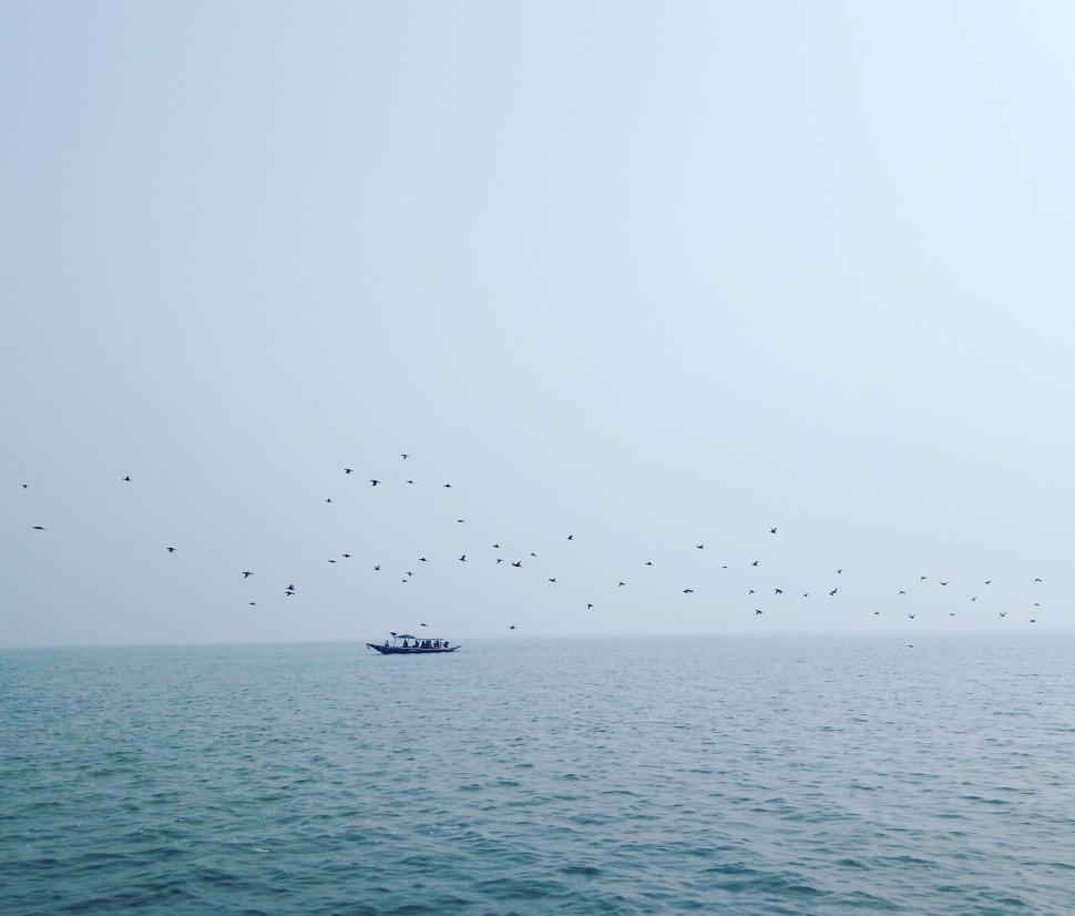 Free Stock Photo of Birds Flying Over Boat in Ocean | Download Free ...