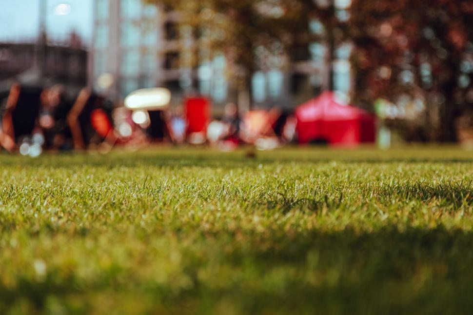 Free Stock Photo of Close Up of a Frisbee on a Grassy Field | Download ...