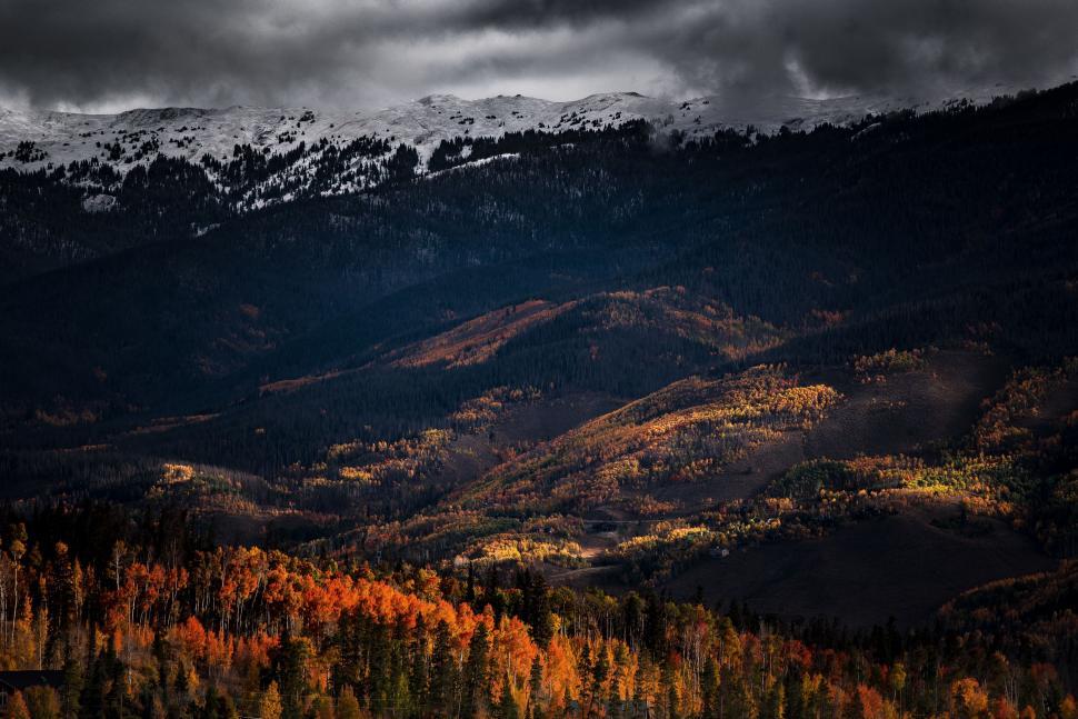 Free Stock Photo of Mountain Range With Foreground Trees | Download ...