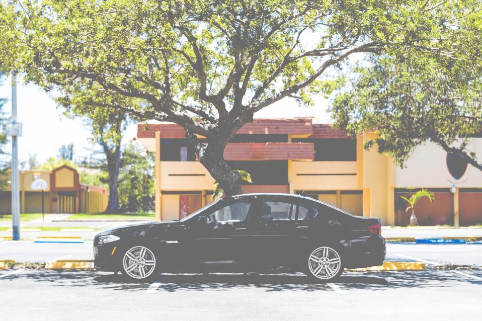 Free Stock Photo of Black Car Parked in Front of Tree | Download Free ...