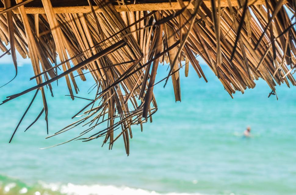 Free Stock Photo of Ocean View From Under a Straw Hut | Download Free ...
