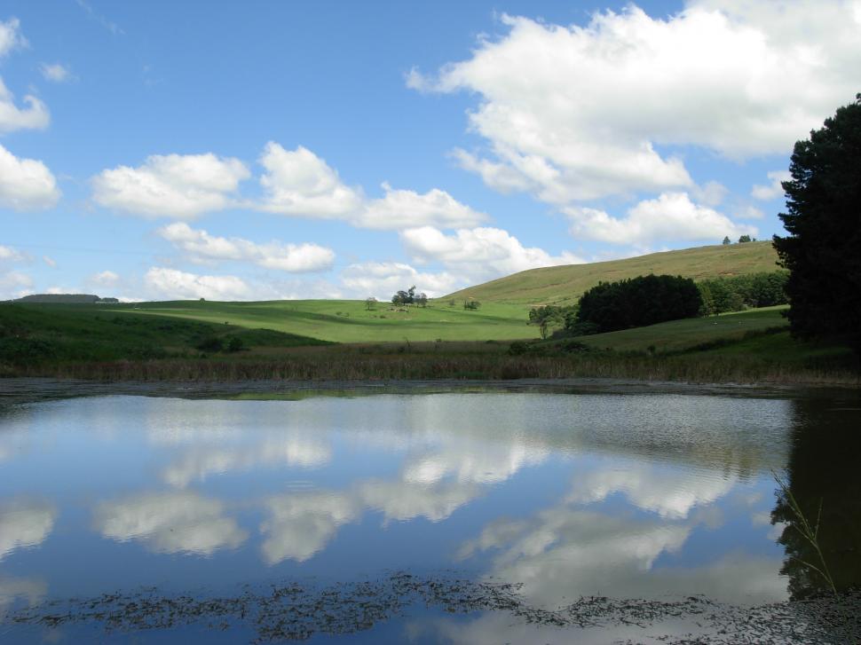 Free Stock Photo of Reflection | Download Free Images and Free ...