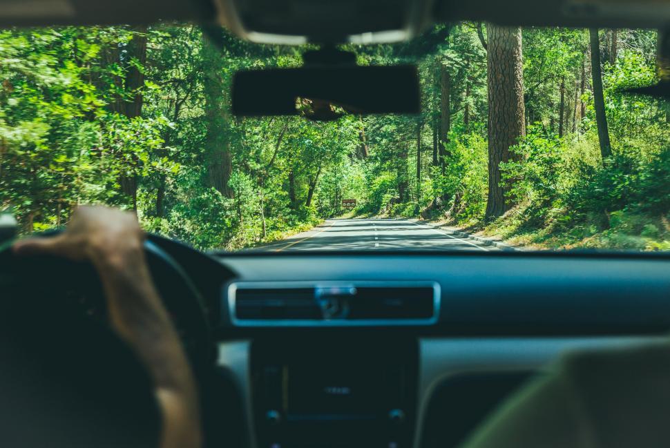 Free Stock Photo of Inside a Car on a Road Through the Woods | Download ...