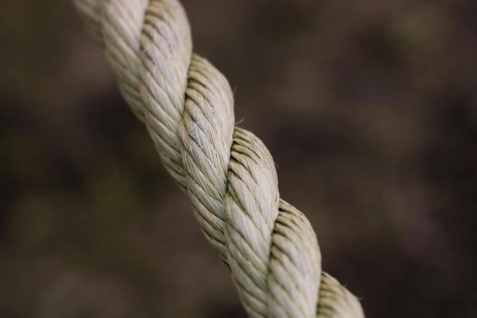 Free Stock Photo of fastener knot restraint rope line | Download Free ...