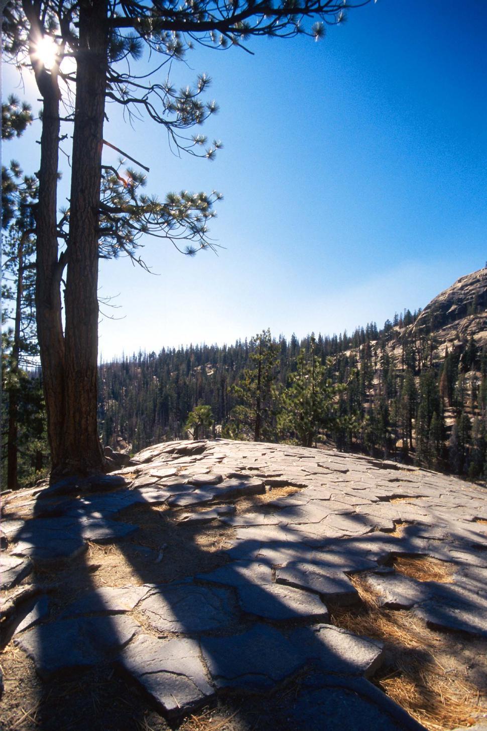 Free Stock Photo of Sun Shines Through Trees on Mountain Top | Download ...