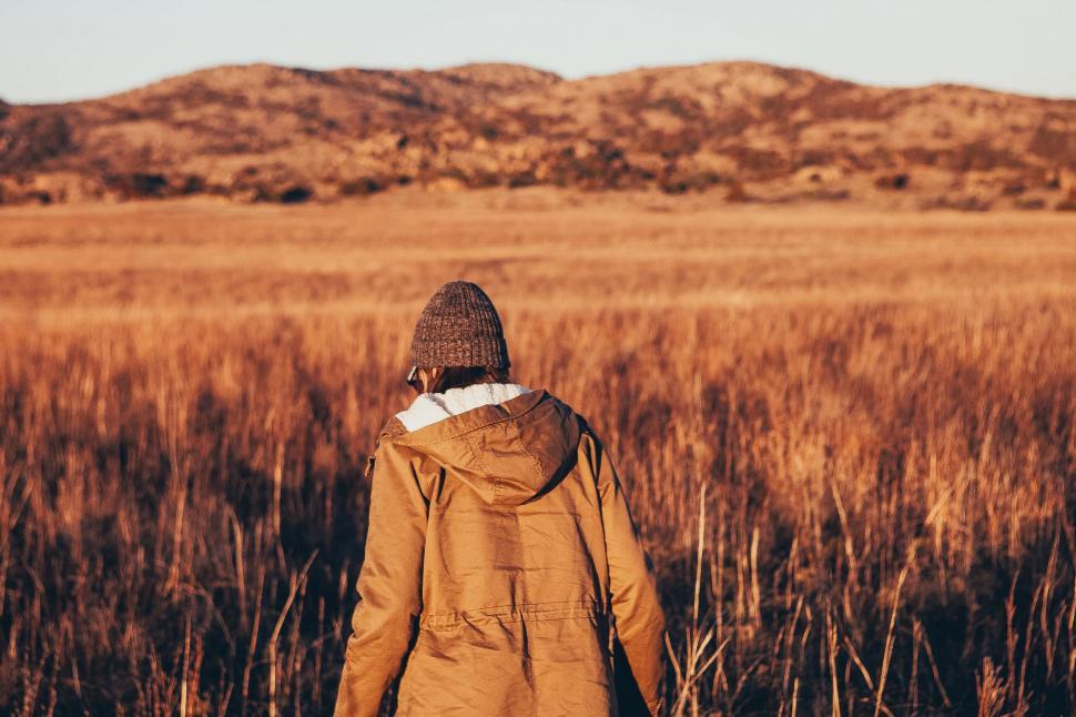 Free Stock Photo of Person Standing in a Field of Tall Grass | Download ...
