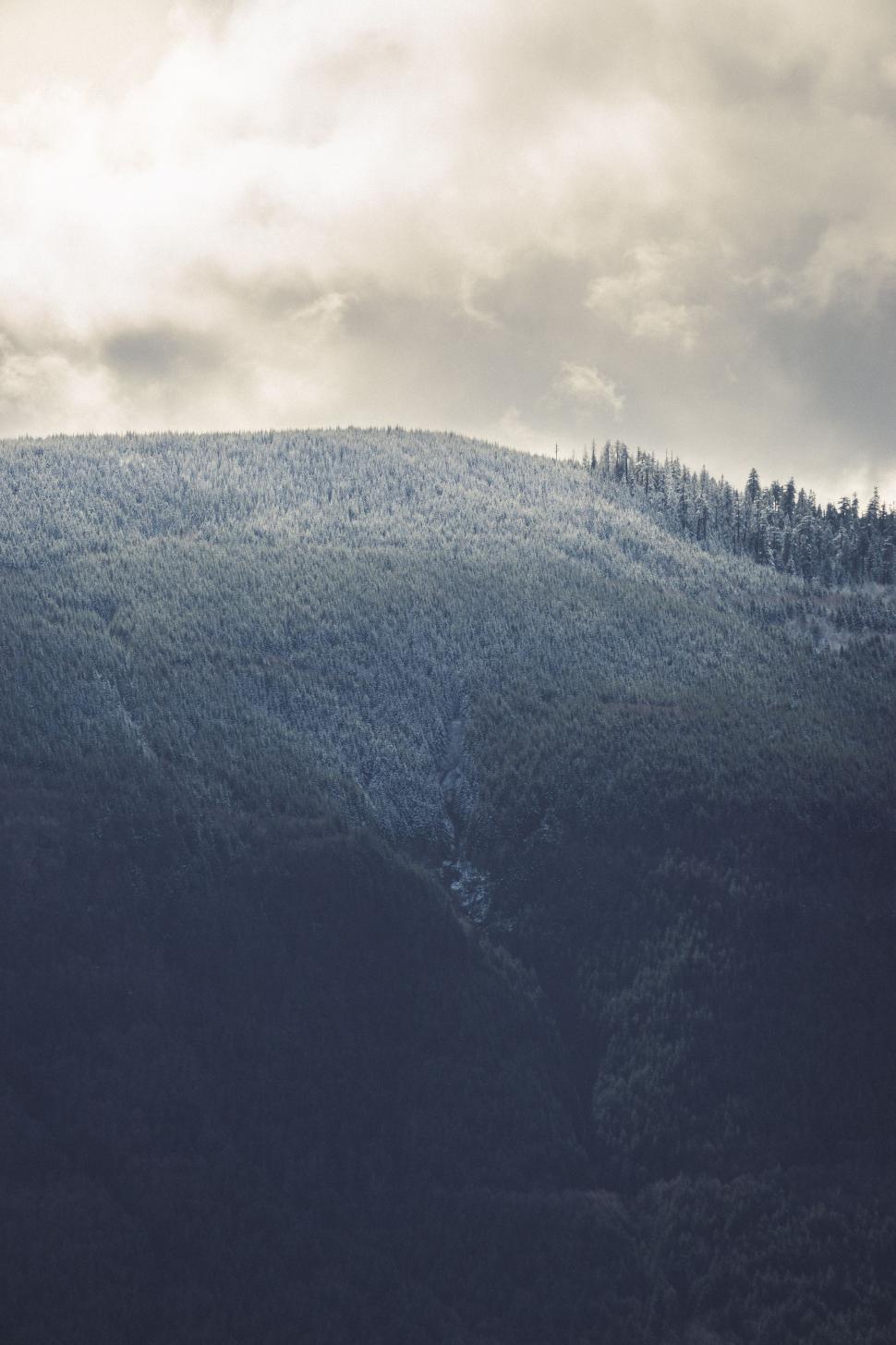 Free Stock Photo of Mountain Covered in Trees Under Cloudy Sky ...