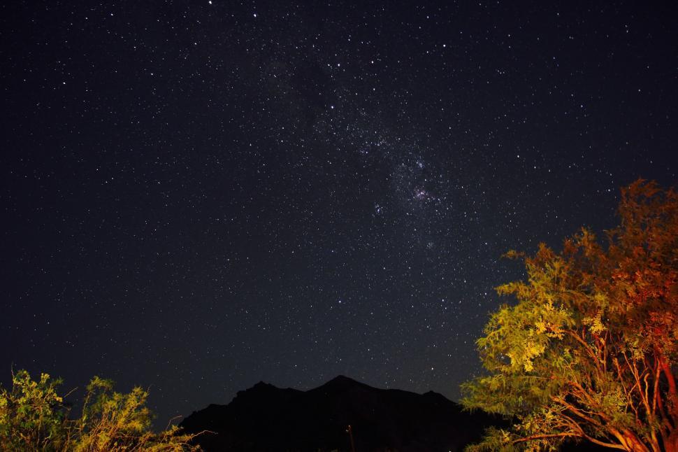 Free Stock Photo of Starry Night Sky With Trees in Foreground ...