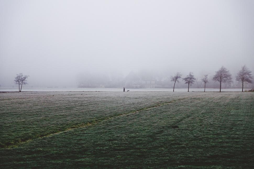 Free Stock Photo of Misty Field With Distant Trees | Download Free ...