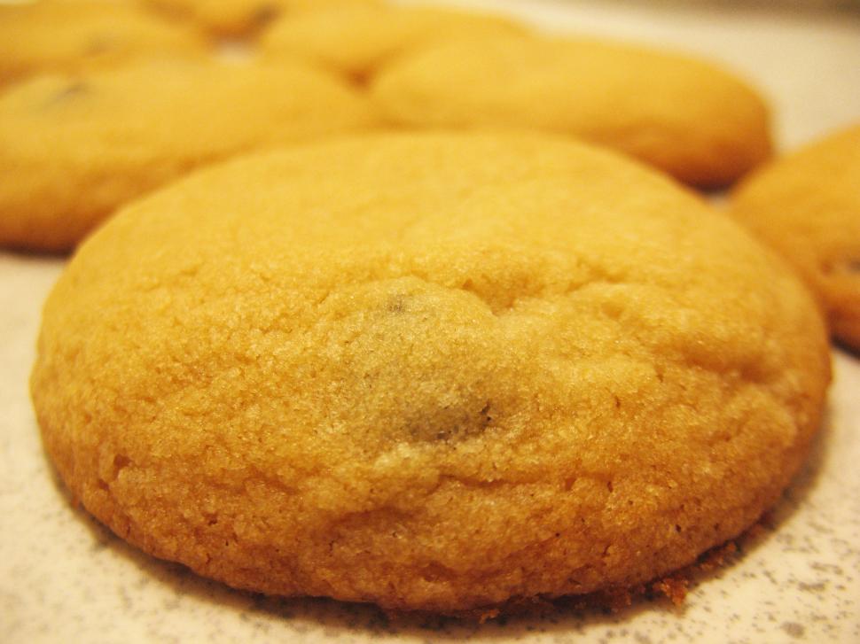 Free Stock Photo of Cookie | Download Free Images and Free Illustrations