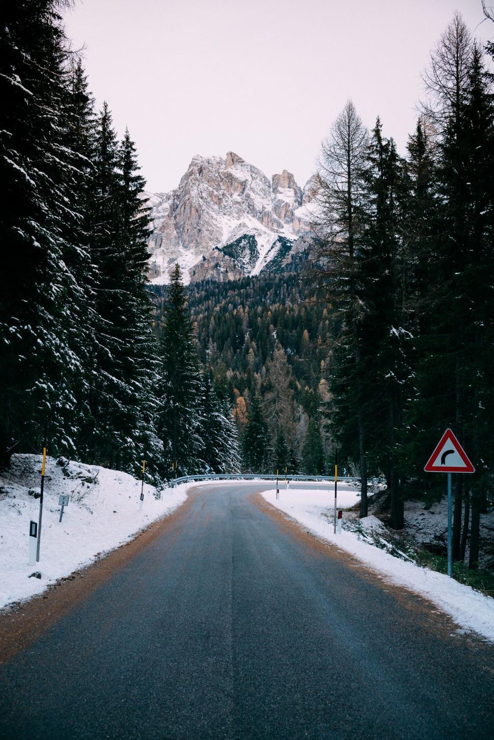 Free Stock Photo of landscape road mountain snow forest tree trees way ...