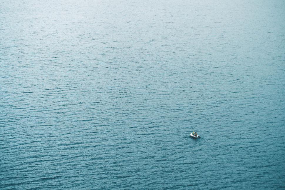 Free Stock Photo of Lone Bird Floating in Middle of Water | Download ...