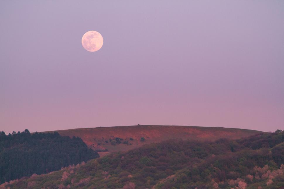 Free Stock Photo of Full Moon Rising Over Hill With Trees | Download ...