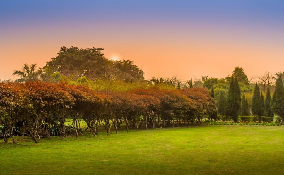 Free Stock Photo of landscape tree sky trees grass land clouds forest ...