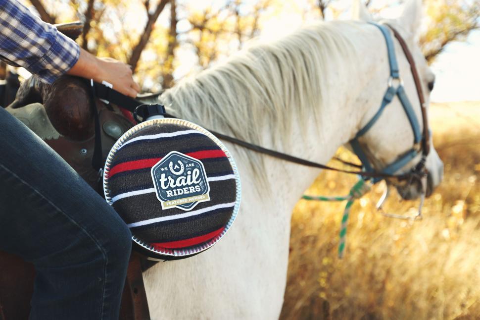 Free Stock Photo of Person Riding on the Back of a White Horse ...