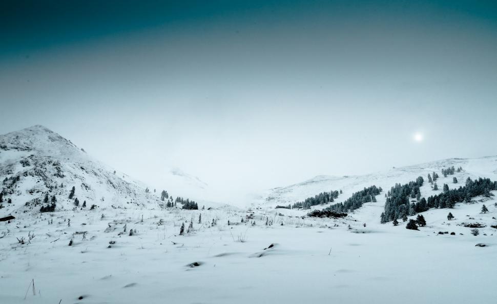 Free Stock Photo of Snow Covered Mountain With Trees in Foreground ...