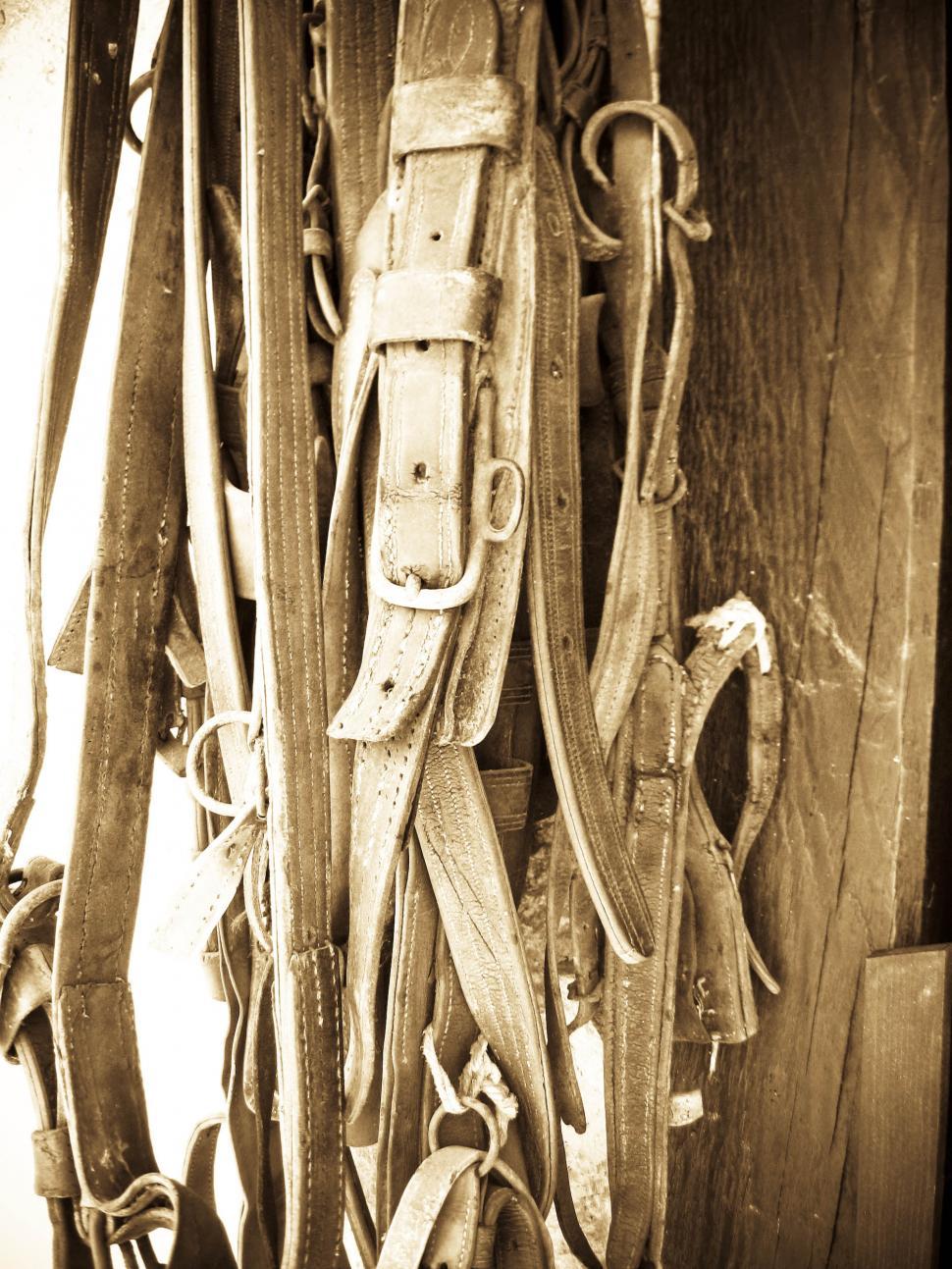 Free Stock Photo of tack | Download Free Images and Free Illustrations