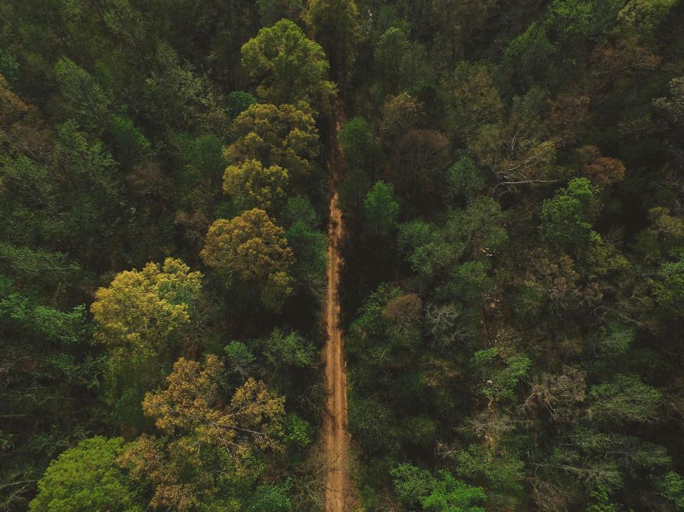 Free Stock Photo of Aerial View of Road Cutting Through Forest ...