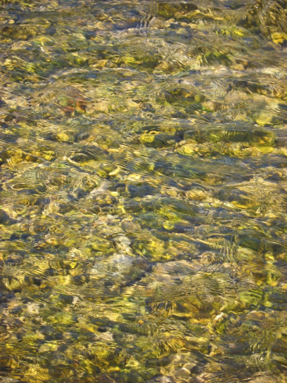 Free Stock Photo of pebbles in lake | Download Free Images and Free ...