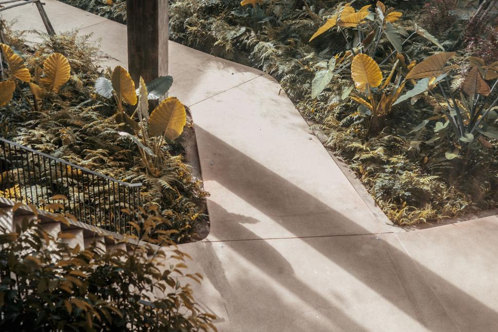 Free Stock Photo of Cement Walkway Surrounded by Plants and Trees ...