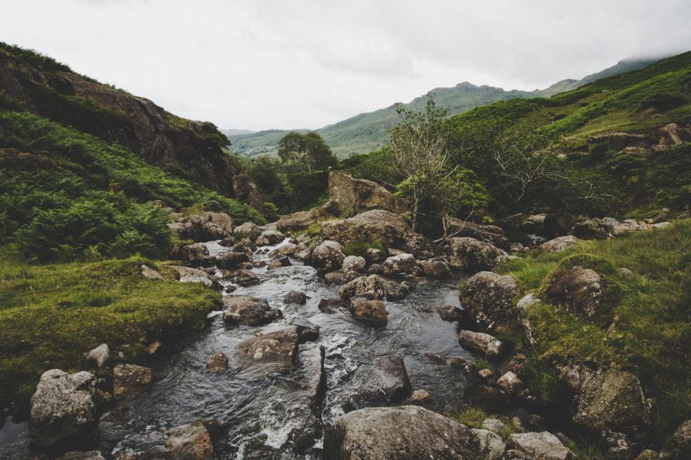 Free Stock Photo of Stream Flowing Through Lush Green Hillside ...