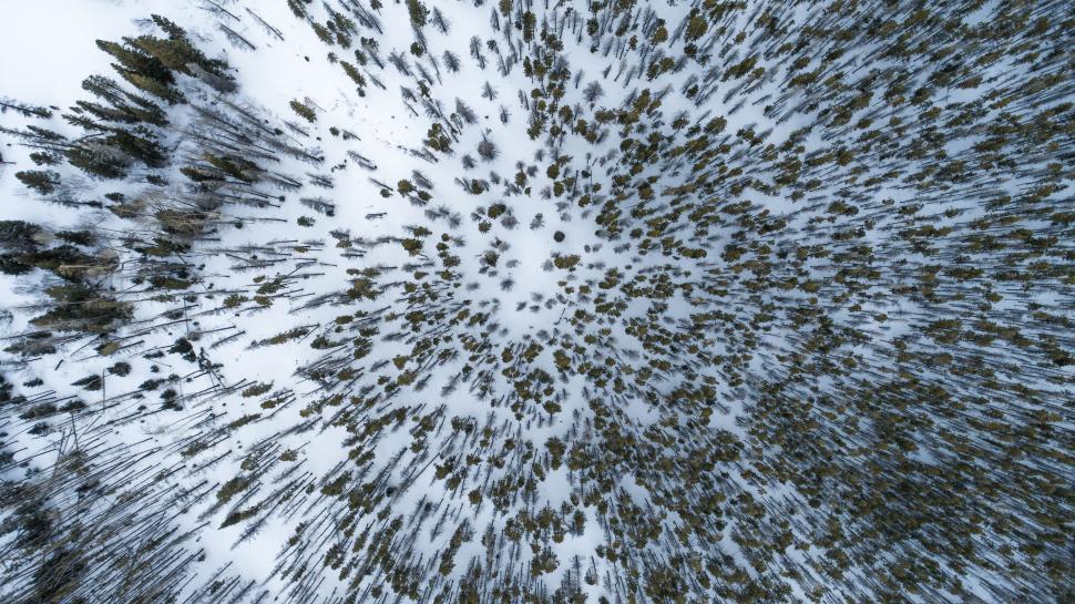 Free Stock Photo of Aerial View of Snow Covered Forest | Download Free ...