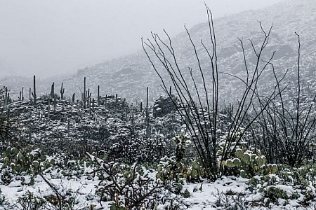 Free desert snow stock photos. Download the best free desert snow ...