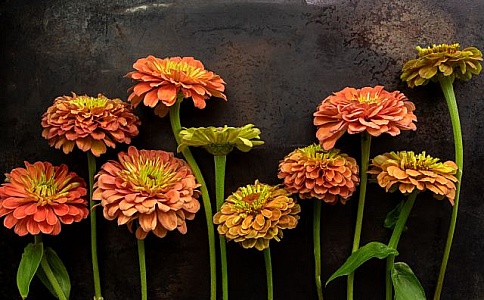 Freerange Stock | Newest Free Stock Photos Available for Download