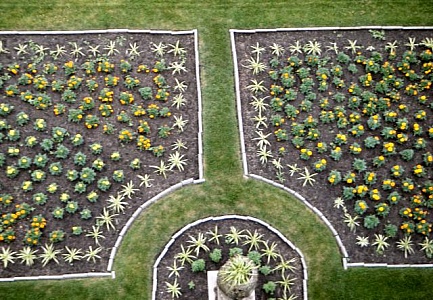 Download Free HD images of Flowers & Plants Online | Popular Royalty ...