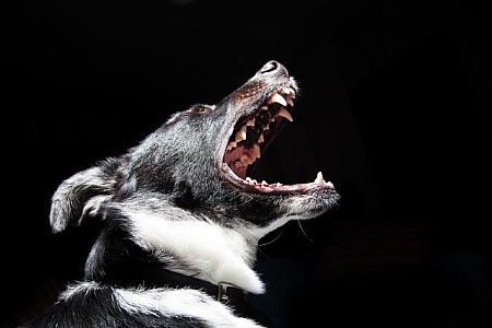 Freerange Stock | Free Photo portfolio from Splitshire on ...