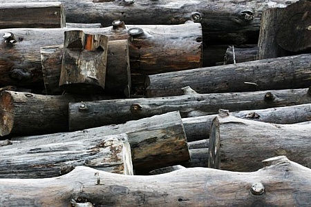Free cut logs stock photos. Download the best free cut logs images at ...