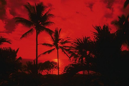 Free islands stock photos. Download the best free islands images at ...